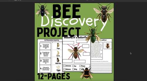 Bee Life Cycle Activities | Insect Unit Worksheets, Coloring Pages ...