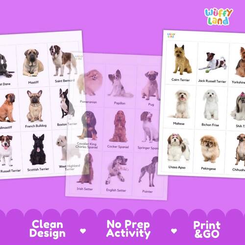 Dog Breeds Flashcards | Realistic Animal Vocabulary Cards for Kids by ...