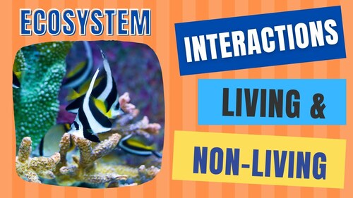 Interactions Between Living and Non-Living Things | [Abiotic & Biotic ...