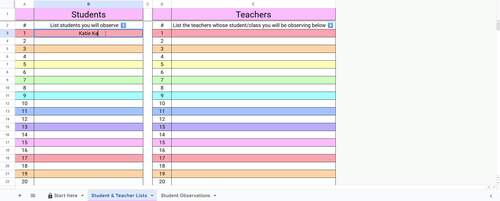 EDITABLE Student Observations, Classroom Observations Spreadsheet