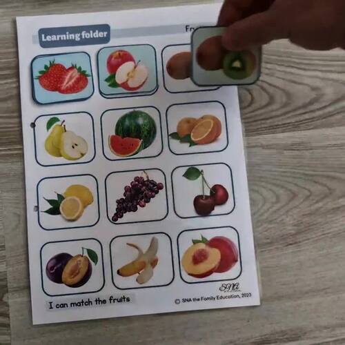 Fruits/Toddler Preschool Learning File Folder/Binder/Montessori ...