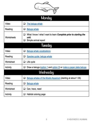 Beluga Whale Unit Study (Arctic Animals Lesson Plan, Videos, Activities)