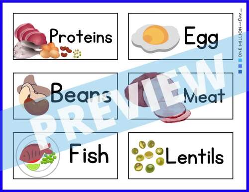 Food Groups Word Wall Set-Vocabulary Food Words with Pictures | TPT