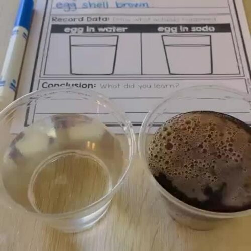 Hygiene & Healthy Habits: Hand Washing & Brushing Teeth-Dental Health ...