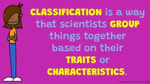 Plant Classification Lessons & Guided Notes | DIGITAL & Print | TPT