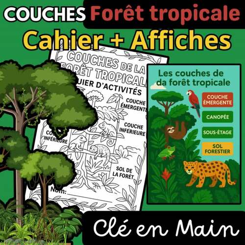 Les couches de la forêt tropicale: Cahier d’activités | Sciences | 2e ...