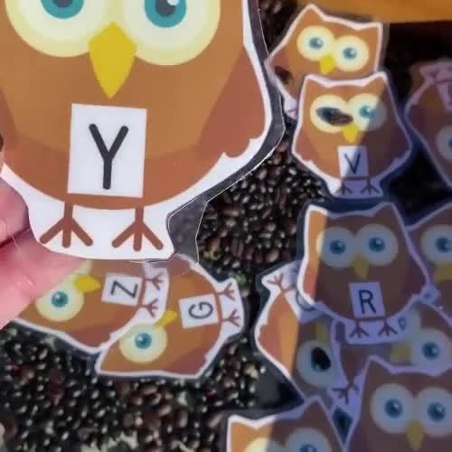 Interactive alphabet flash cards | Letter matching Sensory Bins | Night Owl
