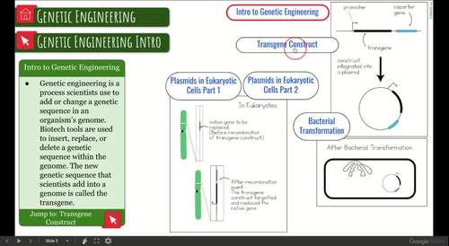 Genetic Engineering and CRISPR Interactive Diagram by Science With Mrs Lau