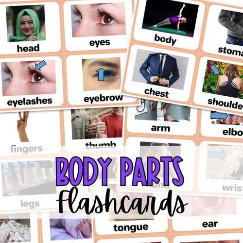 Body Parts Vocabulary Real Photo Flashcards | English by The 4x6 Store