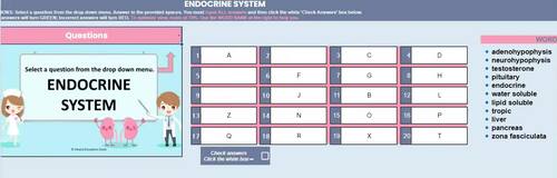 Endocrine System Digital Google Sheetsᵀᴹ and Print Activity | TPT