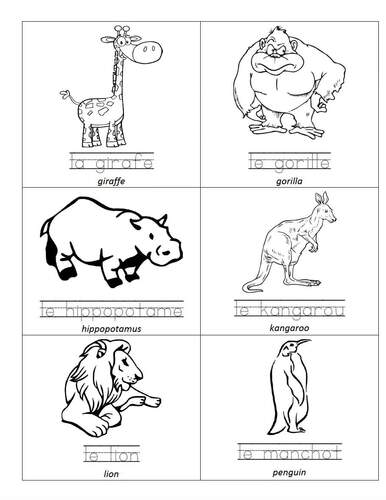 Core French Zoo and Wild Animals Vocabulary Handout | TPT