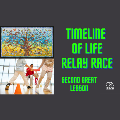 Timeline of Life Relay Race by Montessori Physical Education | TPT