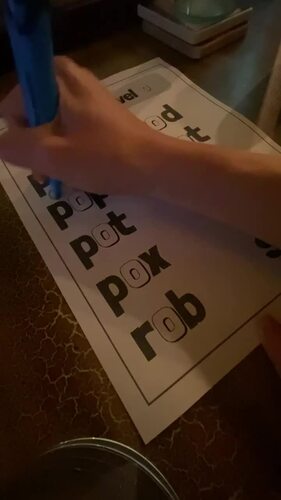 Phonics & Orton Gillingham Game and Worksheets with CVC and Short Vowel ...