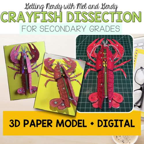 Crayfish Paper Dissection 3-D Dissection Model for Crayfish ...
