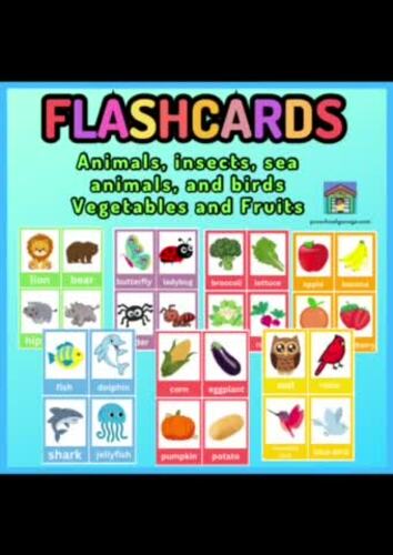 Flashcard Bundle by Preschool Garage | TPT