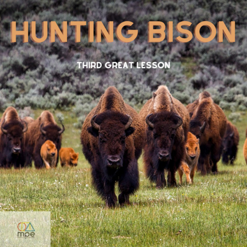 Hunting Bison Video by Montessori Physical Education | TPT
