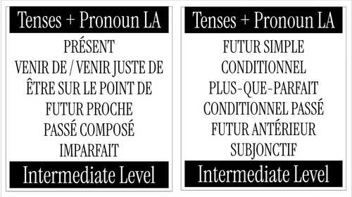 French Tenses and Pronouns Translations Exercise #5 - Intermediate Level