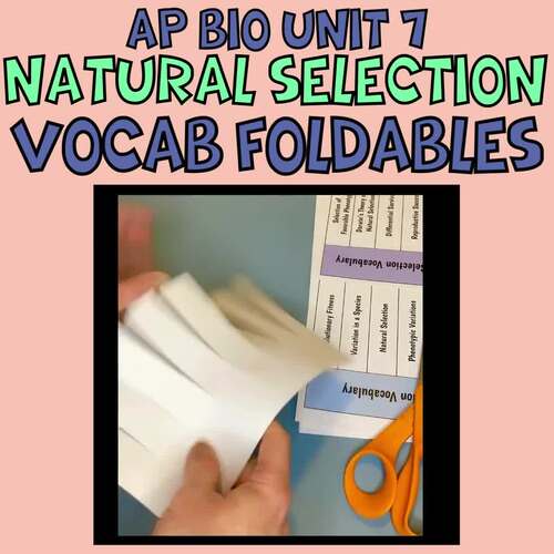AP Biology Unit 7 Natural Selection Vocabulary Foldable by Science with ...