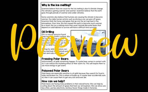 Informational Writing Prompt (Polar Bears) by Jessica Meyer | TPT