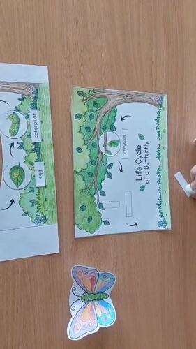 Butterfly Life Cycle Craft | 3D Cut and Paste Activity | Science Worksheet