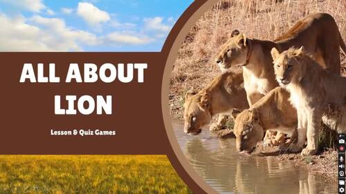All about Lion , Lion Life Cycle PowerPoint Lesson Slides Quiz Games ...