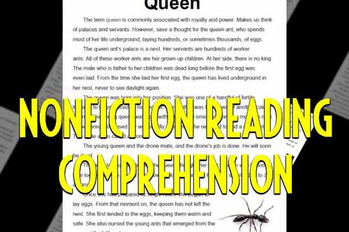 4th and 5th Grade Insects Nonfiction Reading Comprehension Passages ...
