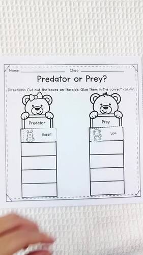 Predator and Prey – Cut and Paste Sorting Activity Worksheets | TPT