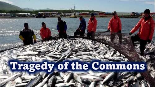 Tragedy of the Commons, Sustainability & Ecological Footprint Lesson BUNDLE