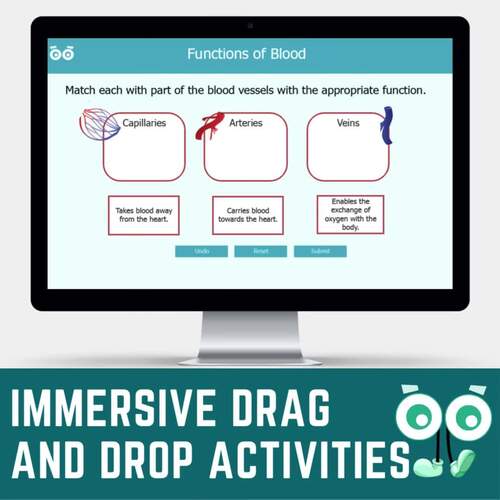 Blood Vessels (Veins, Arteries and Capillaries) Interactive Science Lesson