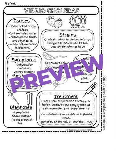 Vibrio Cholerae Doodle Notes | Health | FACS | Foodborne Illnesses