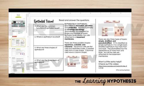 Body Tissues Activity (includes Histology). Human Tissue. Digital and PDF