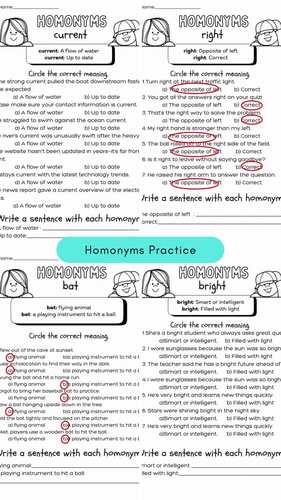 Homonyms Practice with Context Clues 11 Worksheets + Assessments ...