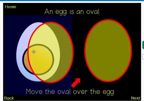 CVI Shapes Real Objects BUNDLE Printable and Boom Cards by One Of A ...