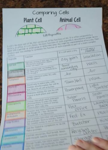 Plant and Animal Cells Worksheets & Activities: Cell Organelles | TPT