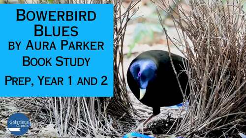 Bowerbird Blues by Aura Parker - Book Study for Prep, Year 1 & Year 2