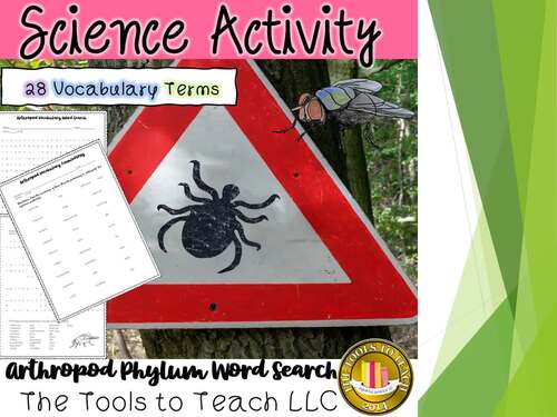28 Arthropod Phylum Vocabulary Word Search and Key Low Prep Grades 4th-6th