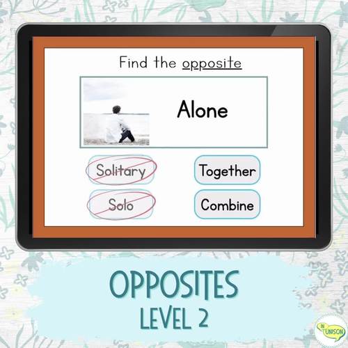 Opposites Boom Cards™ for Speech Therapy Level 2 by In Unison Speech ...