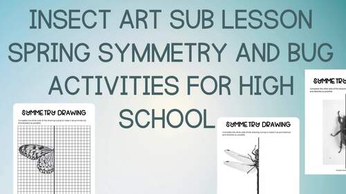 Insect Art Sub Lesson Spring Symmetry and Bug Activities for High School