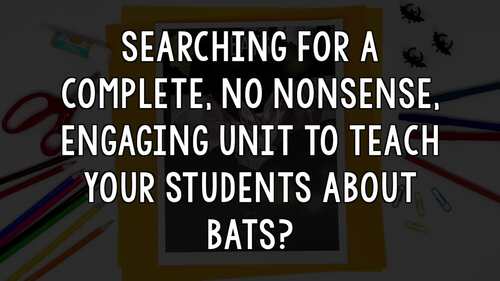 All About Bats | Bat Activities Halloween | Non-Fiction -Literacy, Math ...