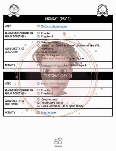 Tigers at Twilight | Magic Tree House #19 | Lesson Plan, Quizzes ...