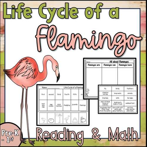 Flamingo Printable Activities and Emergent Readers for Kindergarten