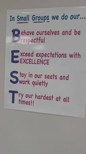 Small Group Implementation Anchor Chart Set by Top Notch Teaching Toolbox