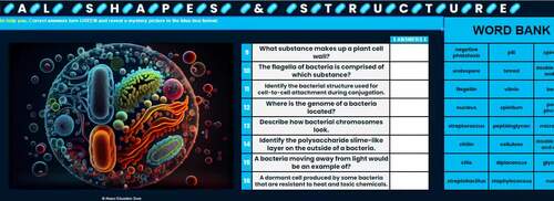 Bacteria Shapes and Structure Digital Google Sheetsᵀᴹ and Print Activity