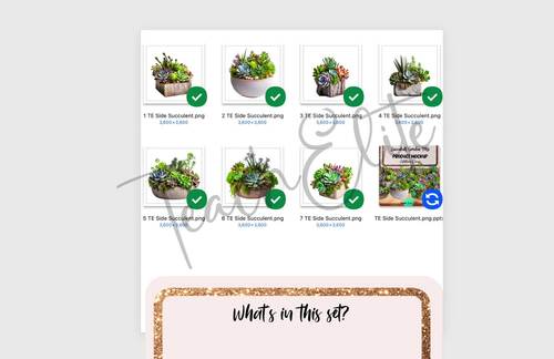 Succulent Garden Pot MOVEABLE Mock-up png images by Teach Elite | TPT