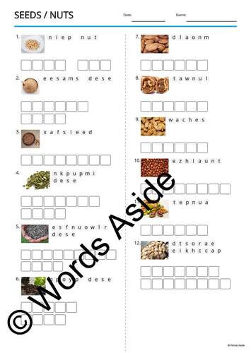 Vocabulary Puzzle Writing Worksheets Crossword Word Search Anagram NUTS ...
