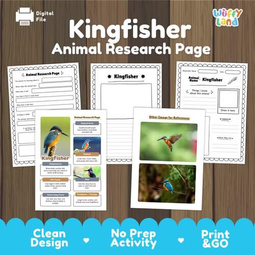 Kingfisher Animal Research Project Bird Life Science Worksheet Biology ...