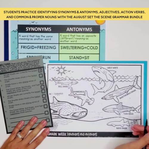 August Grammar Review Set the Scene BUNDLE by Amelia Capotosta | TPT