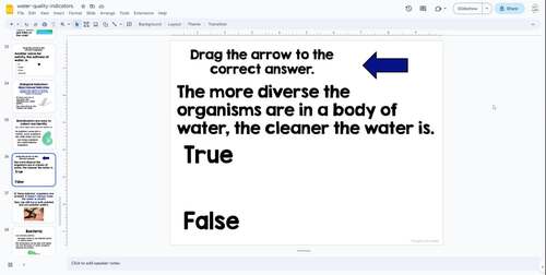 Water Quality Indicators Interactive Lesson | TPT