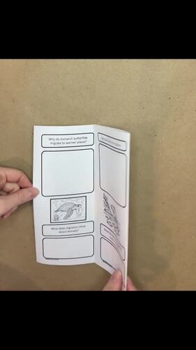 Animal Migration Craft Brochure Reading passage activity 3rd grade ...