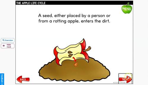 Apples Speech Therapy Life Cycle Activities for Articulation Language ...